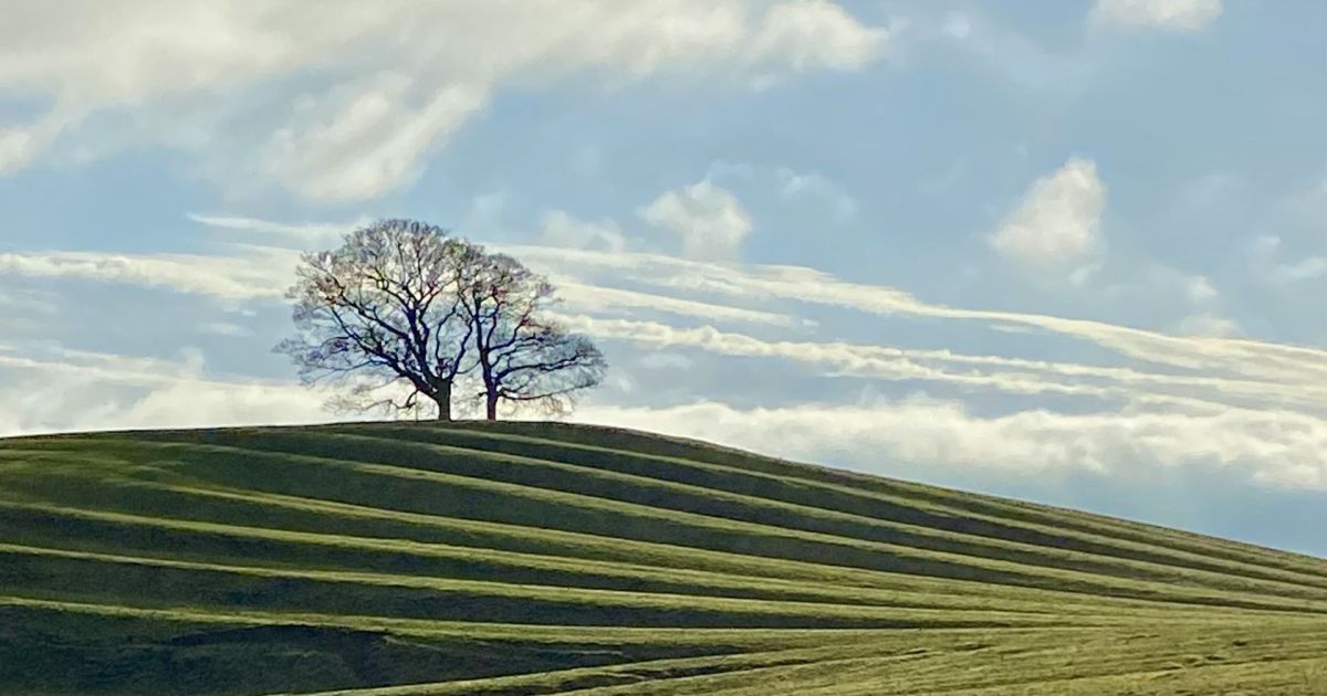 Wannie Line Walk - Ramblers